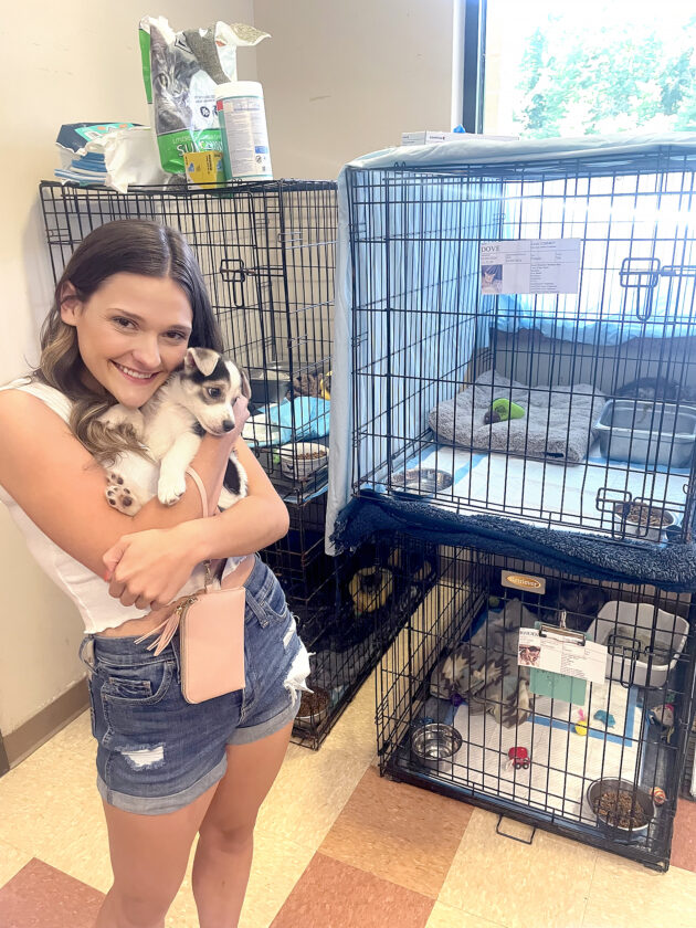 Humane society makes plea for fosters | News, Sports, Jobs - Weirton ...